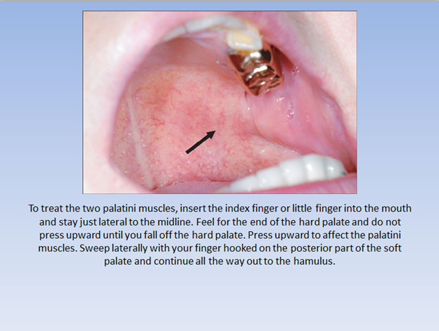 Ring in the NEW EAR!